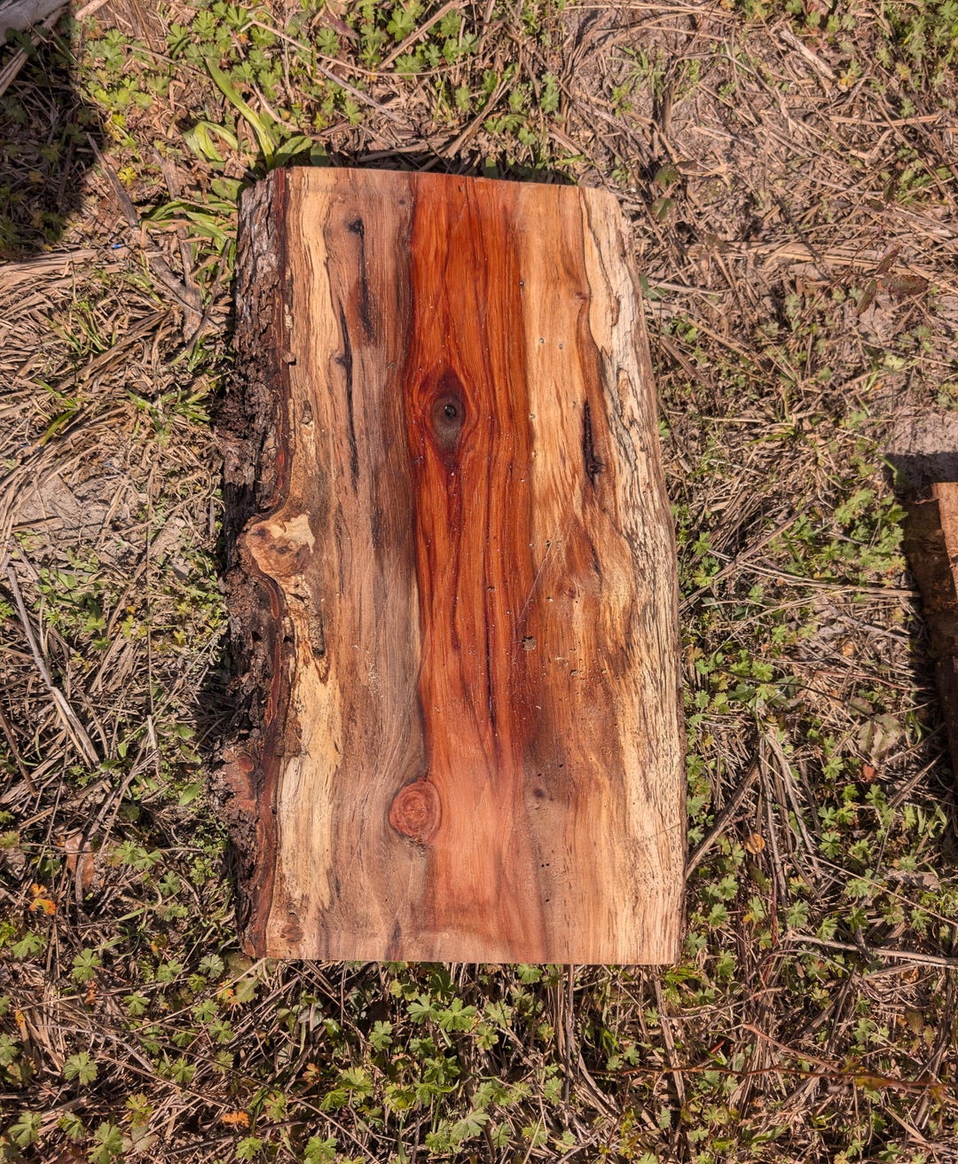Pecan Wood Slab - Spalted Live Edge Unfinished Woodworking Board ...