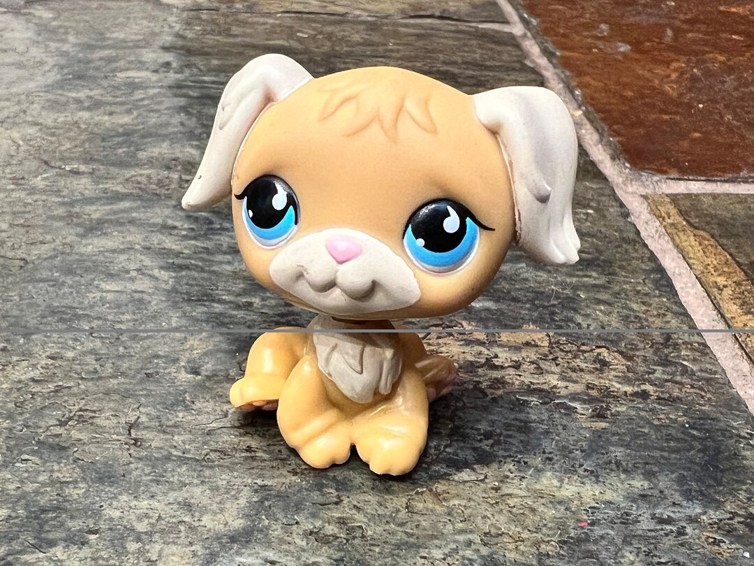 Littlest Pet Shop LPS #788 Golden Retriever Puppy Dog Blue Eyes ...