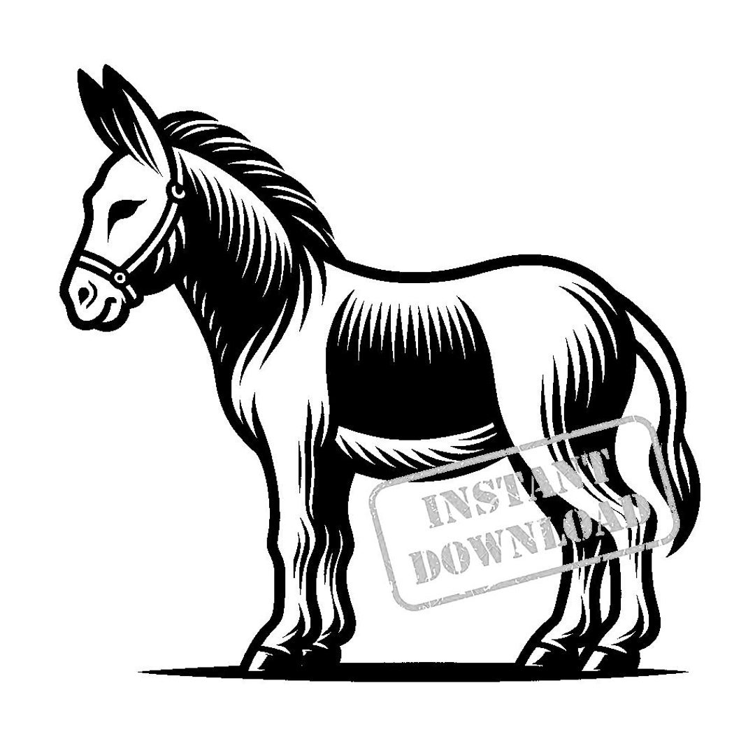Donkey in Medieval Style SVG Bundle - Etsy