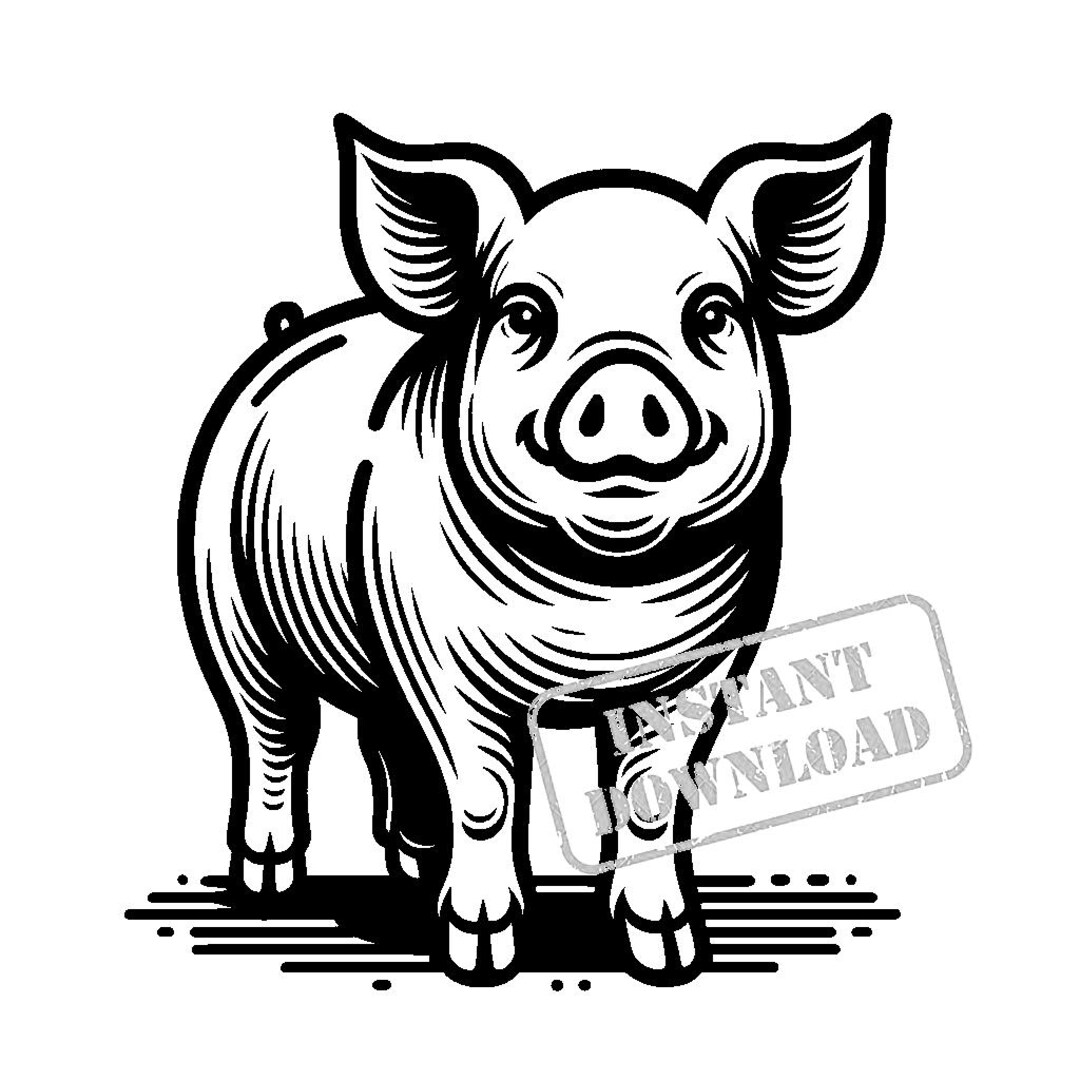 Pig in Line Art Style SVG Bundle - Etsy