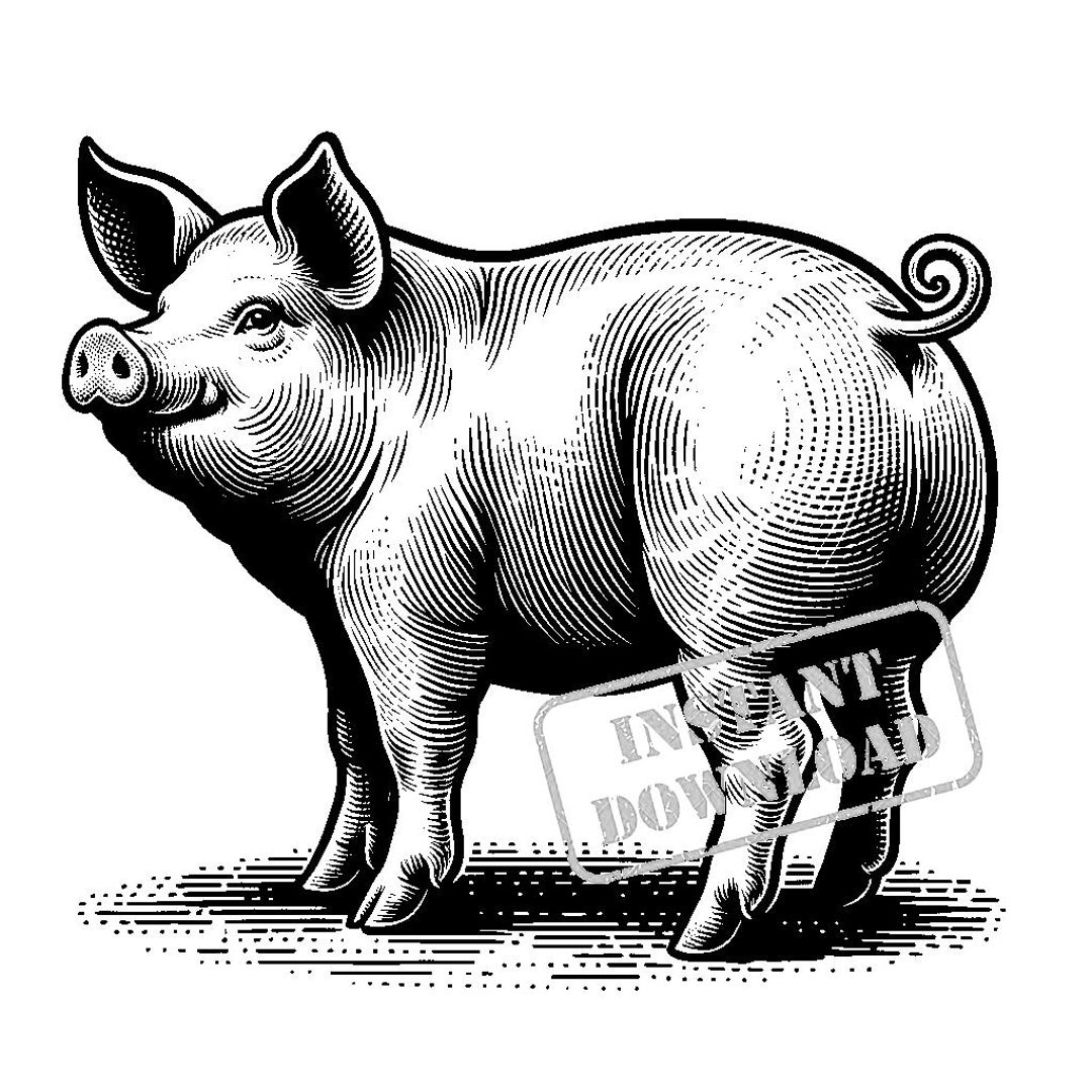 Pig in Pop Art Style SVG Bundle - Etsy
