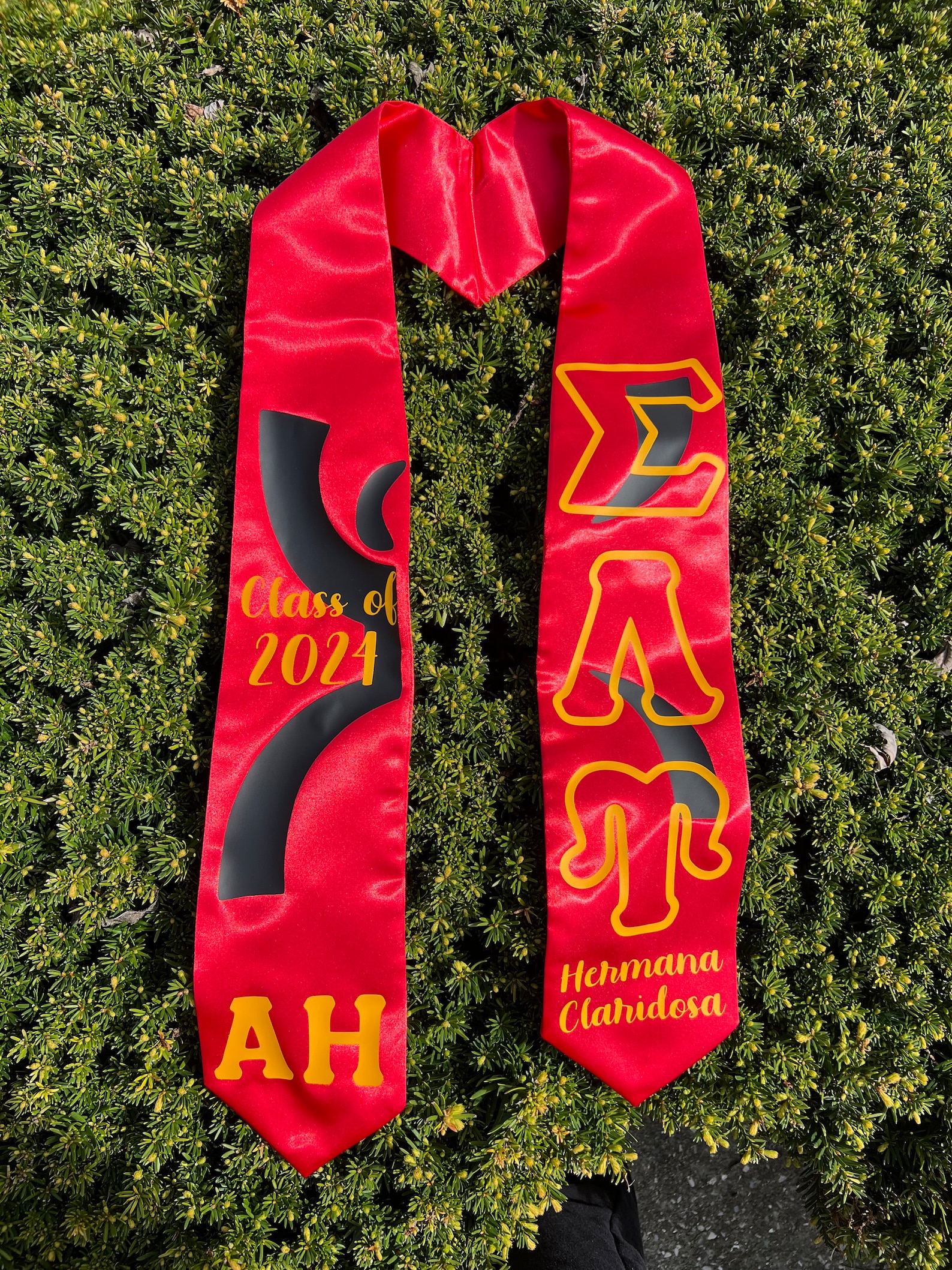 Custom Graduation Stole | Personalized Stole for High School, College ...