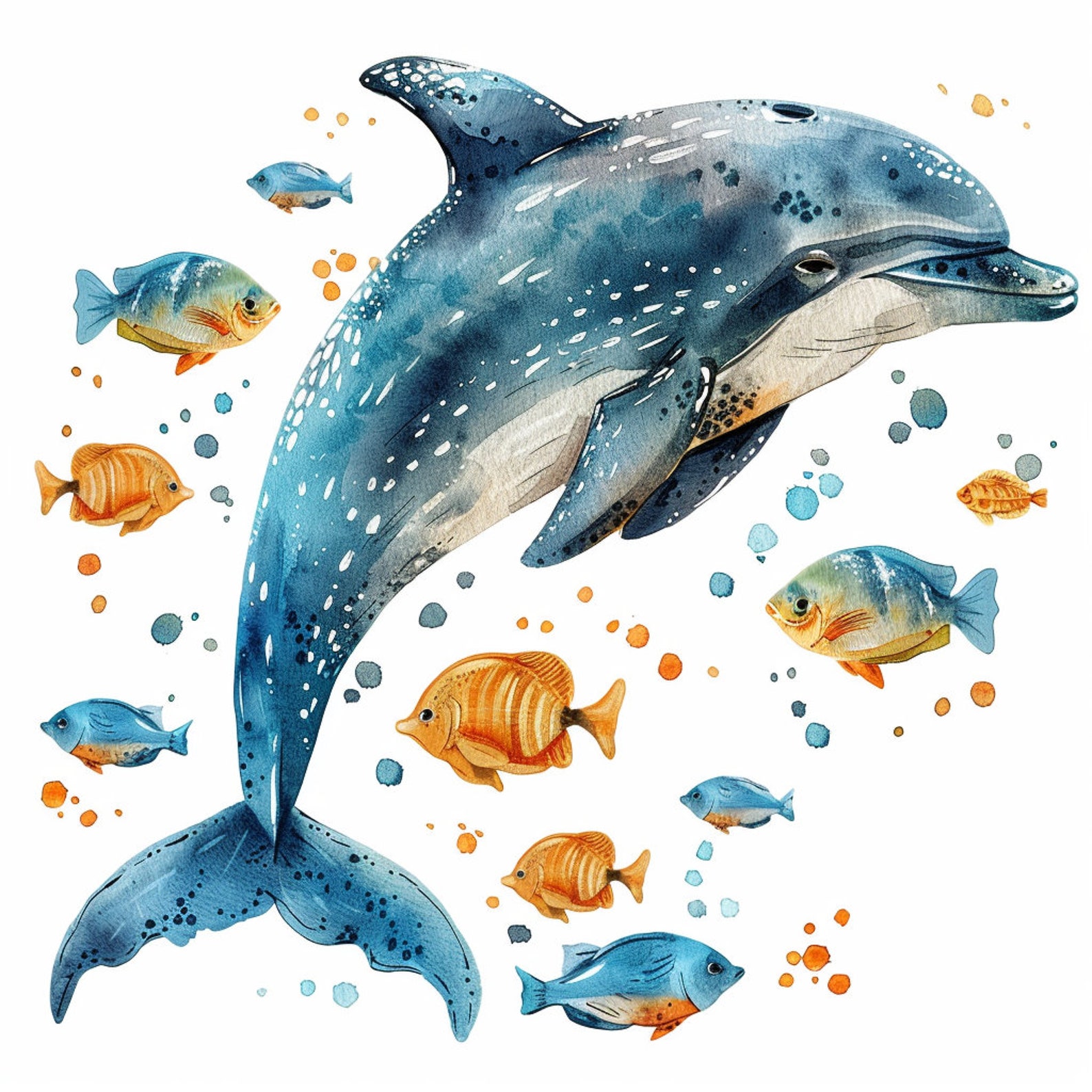 Dolphin Clipart 20 PNG Ocean Animal Graphics, Dolphin Printables ...