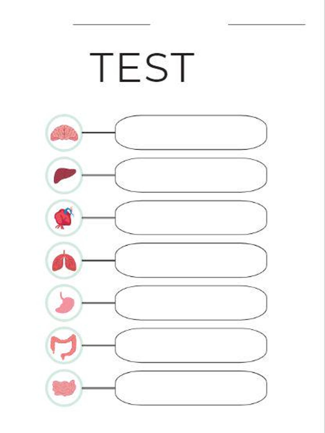 Science K-3rd Grade Human Body - Etsy