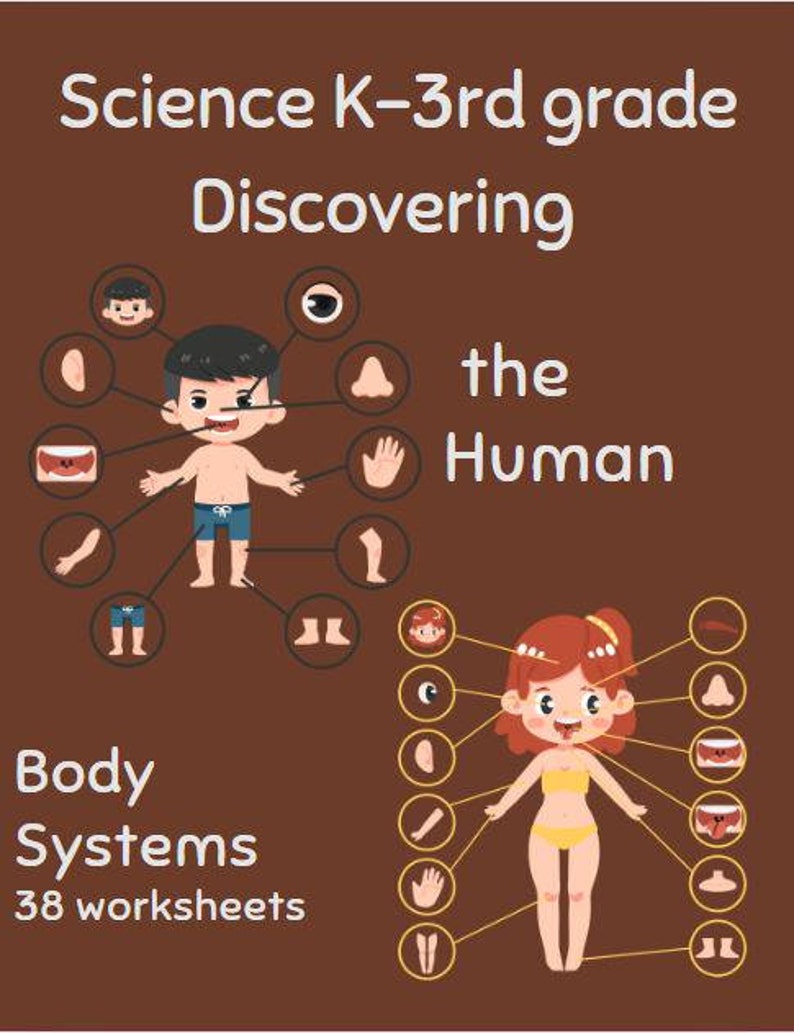 Science K-3rd Grade Human Body - Etsy