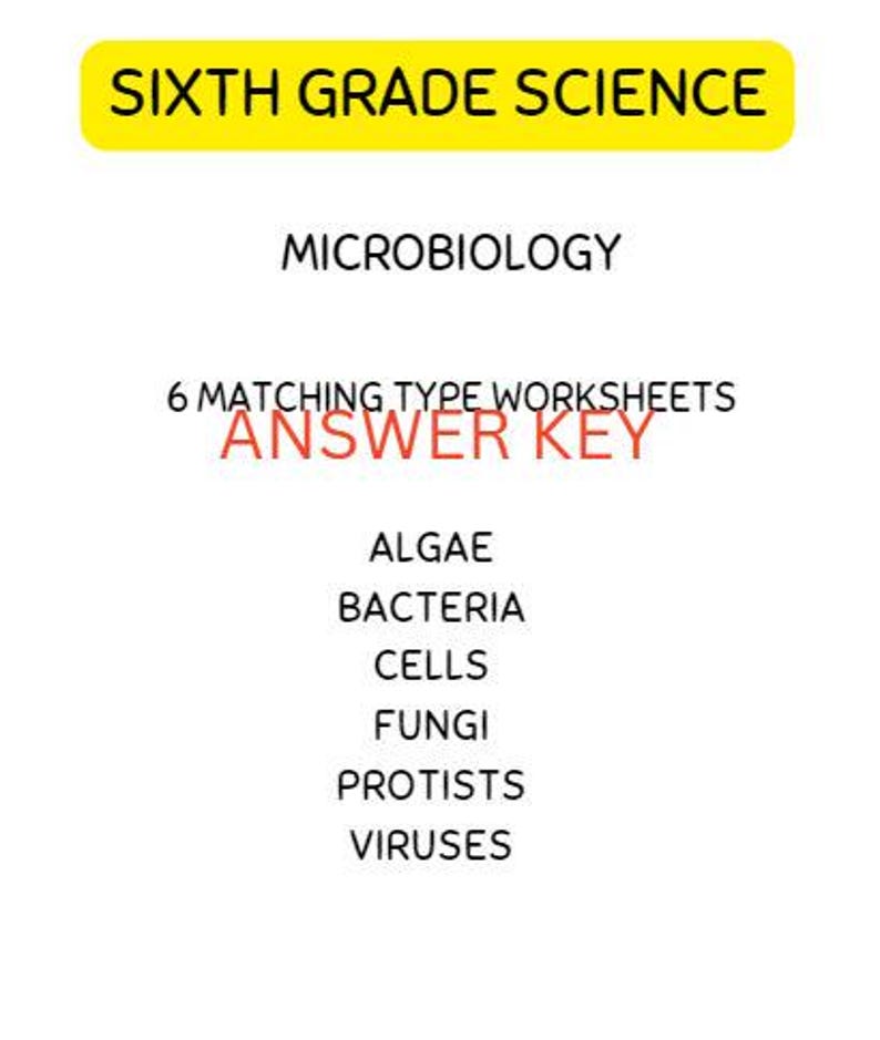 6th Grade Science Workbook 55 Pages of Activities - Etsy