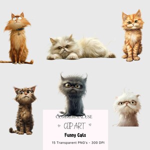 15 Funny and Cute Cat Clipart PNG Bundle Quirky Animals Clip Art ...