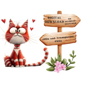 Quirky Cat Clipart Bundle 15 Hi Res Transparent Pngs Cute & Funny Cats ...