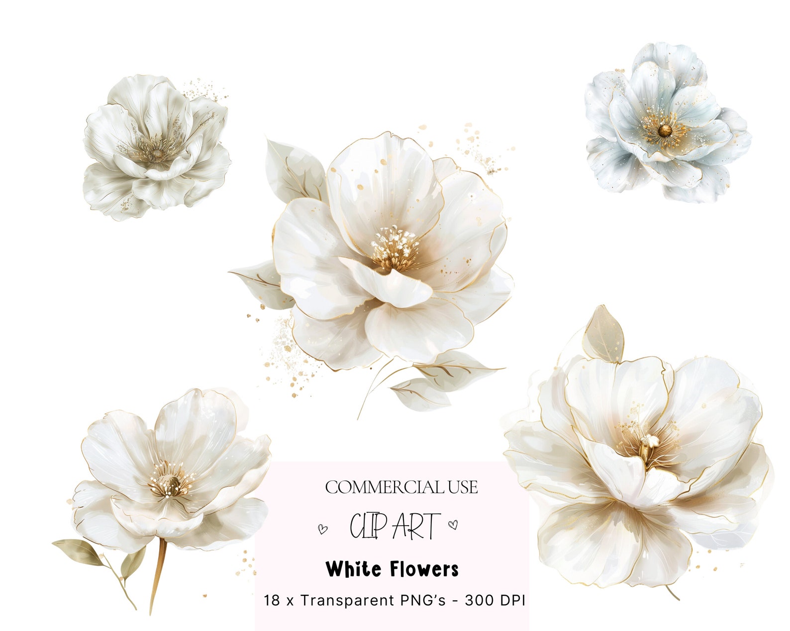 12 White Flowers Clipart, White Floral Print, White Flower Clipart ...