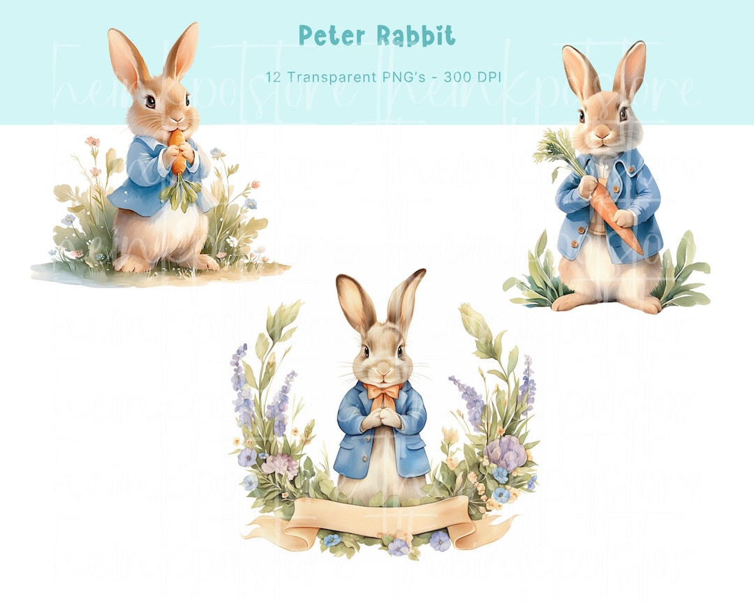 Peter Rabbit Clipart, Beatrix Potter Clipart, Peter Rabbit PNG, Bunny ...
