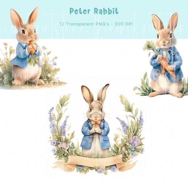 Peter Rabbit Clipart - Etsy