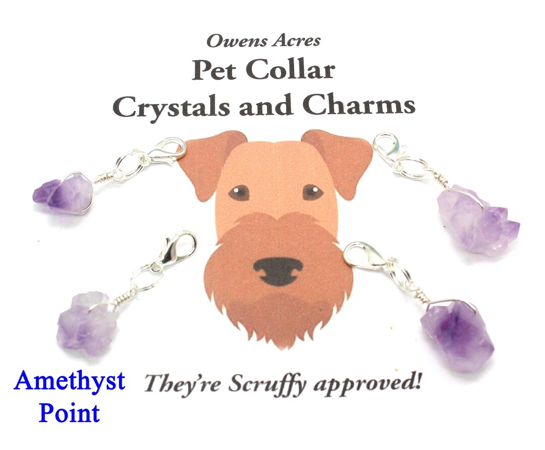 Pet Collar Charm / Amethyst Crystal Point / Pet Jewelry / New Pet Gift ...
