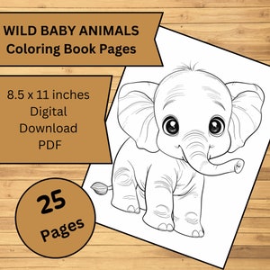 Cute Jungle Safari Wild Baby Animals Coloring Book Pages Vol 1 ...