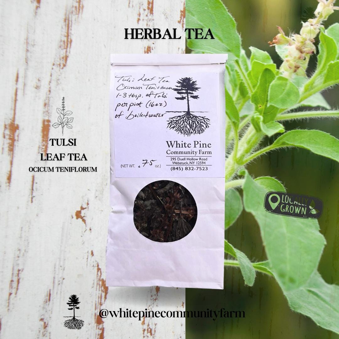 Tulsi Leaf Tea - Etsy