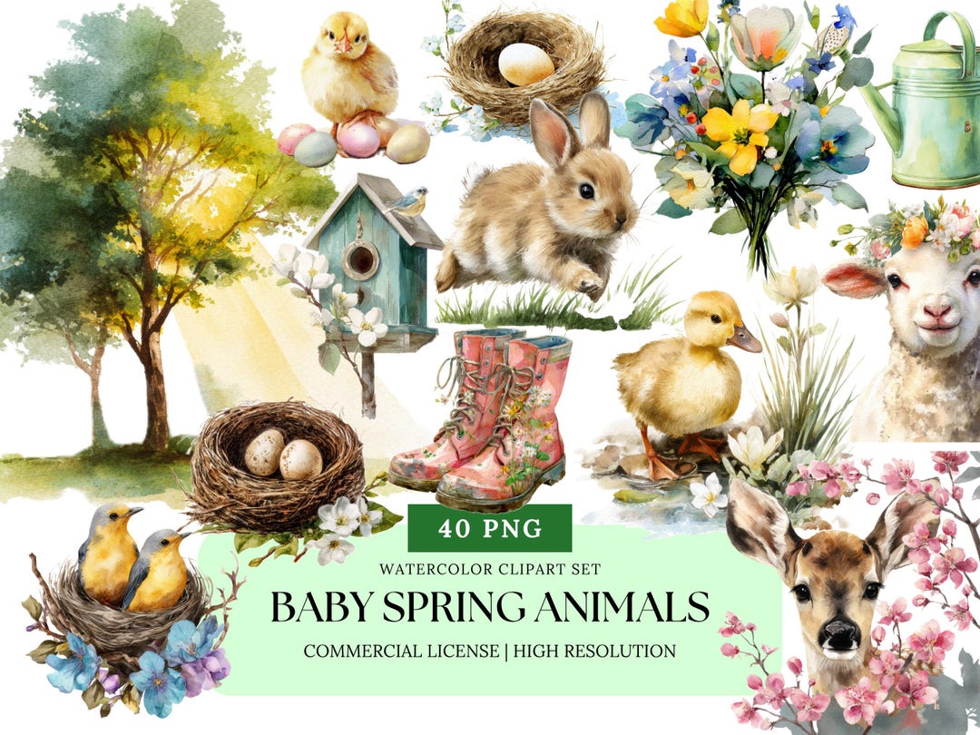 Baby Animals Spring Edition Watercolor Clipart Set | Cute Pastel ...