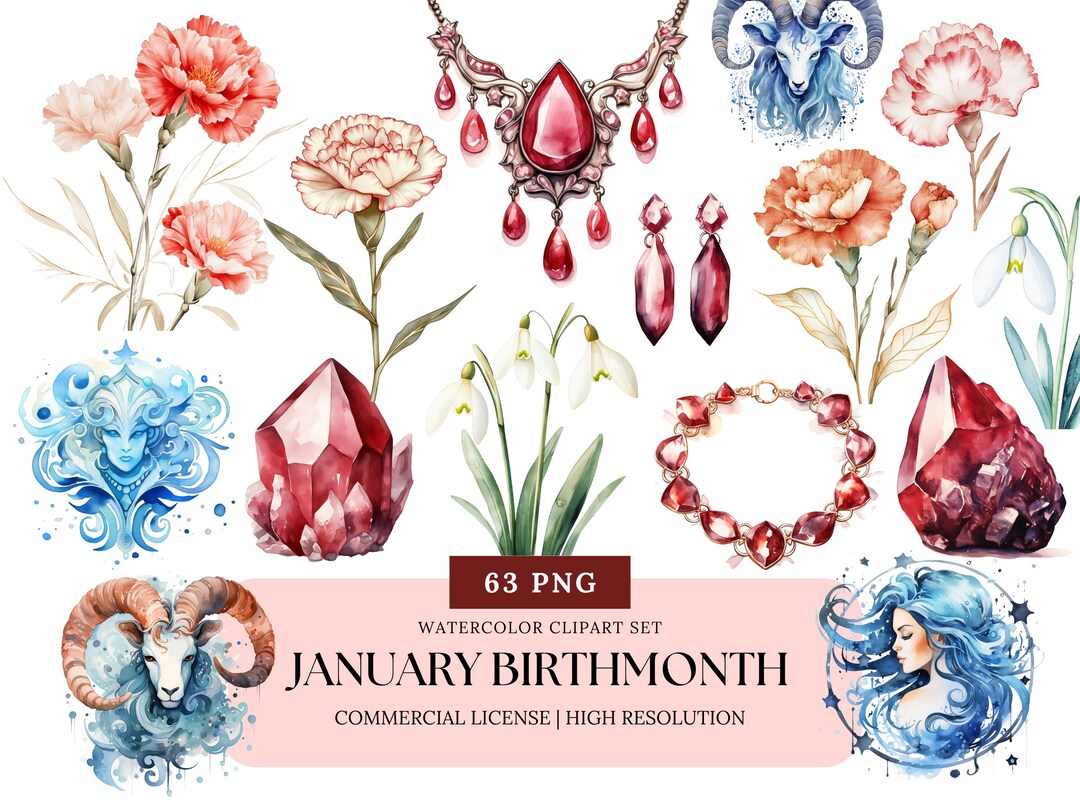 January Birth Flower Clipart Carnation Snowdrop Garnet Birthstone ...