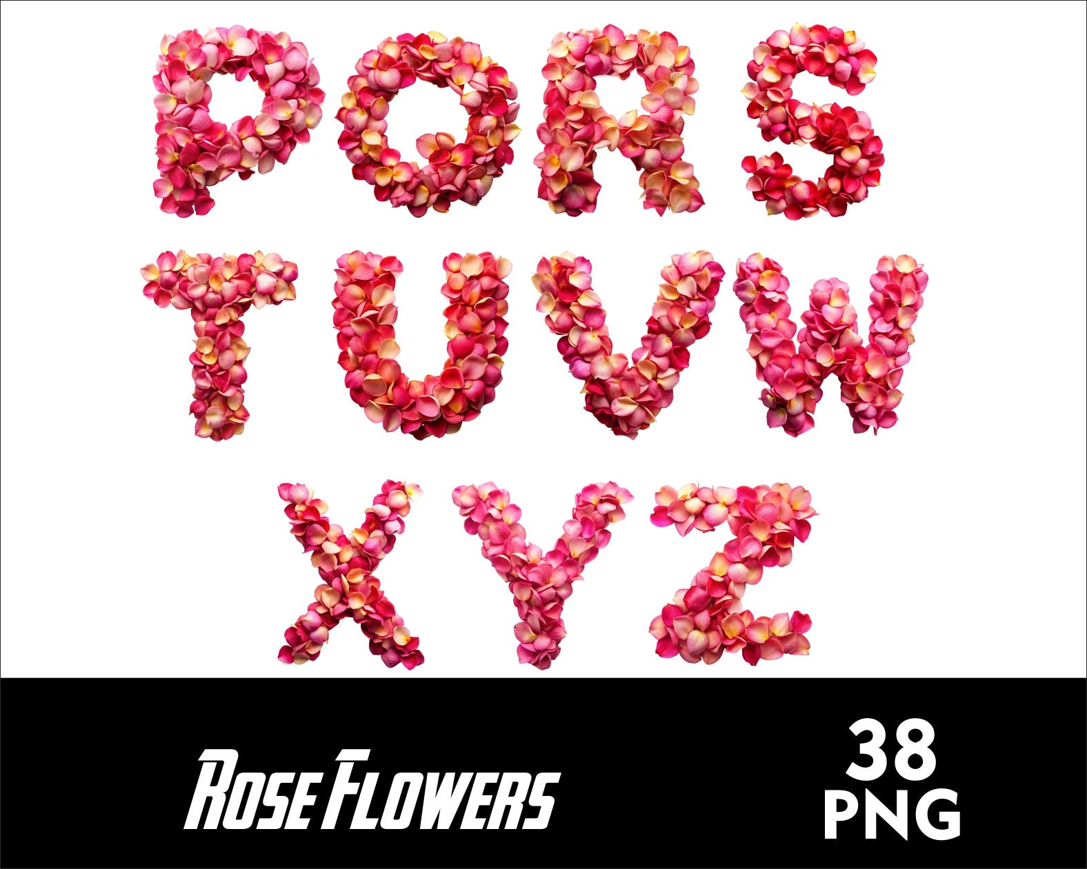 Rose Flower Alphabet Rose Leafs PNG Alphabet Wedding Font PNG Letters ...
