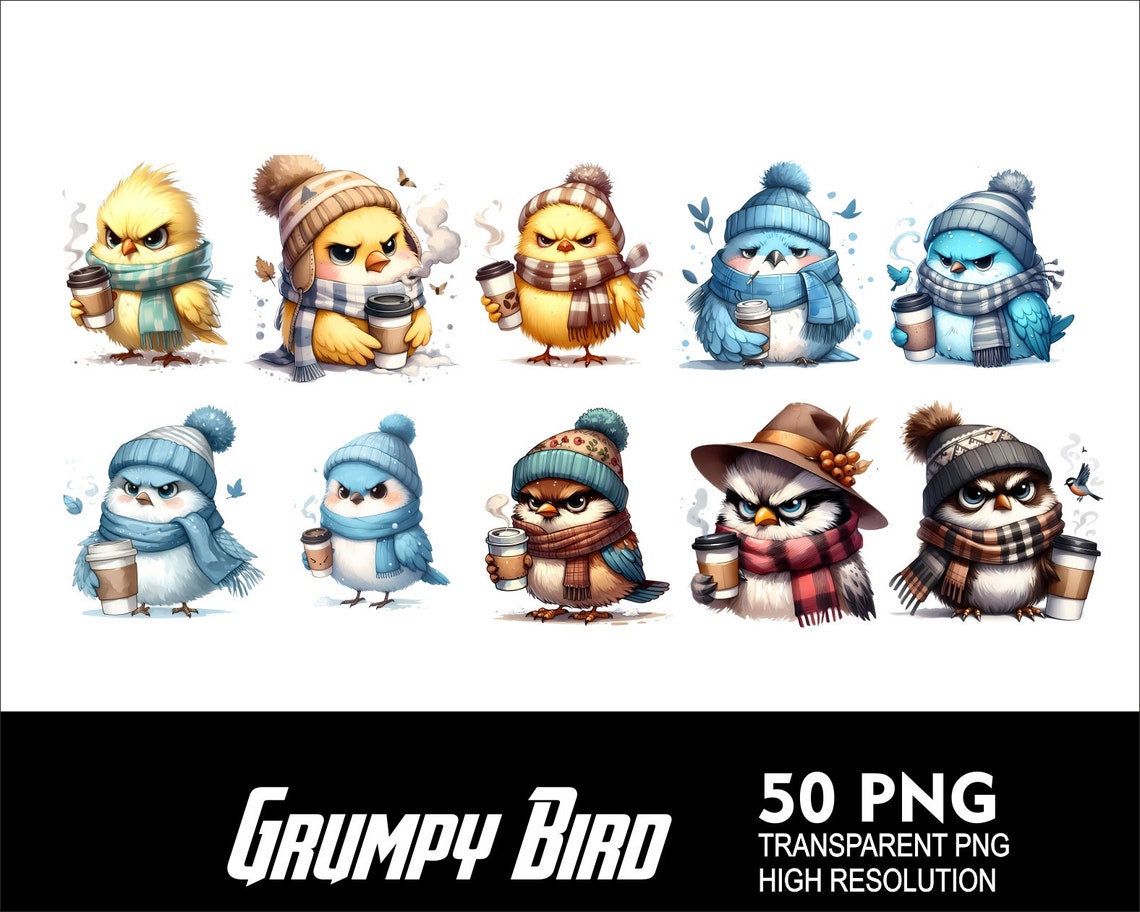Bundle 50 PNG Grumpy Birds Cute Fluffy Birds Coffee Watercolor ...