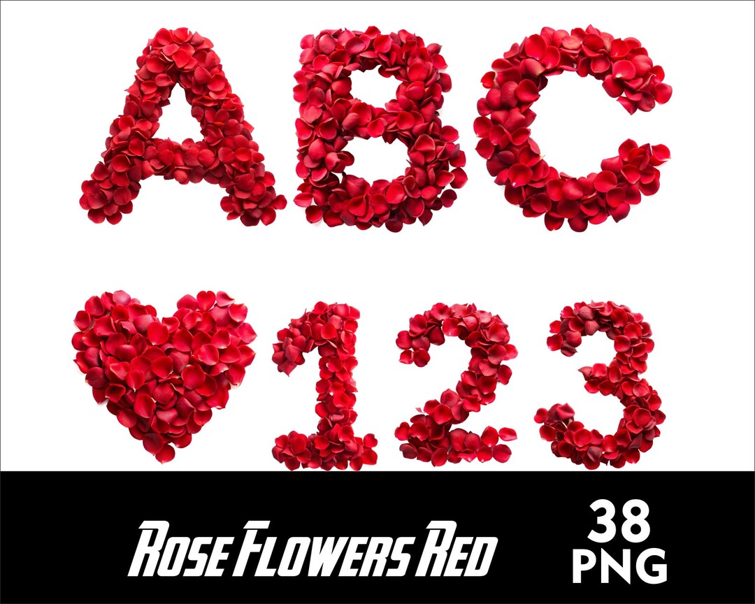Red Rose Flower Alphabet Rose Leafs PNG Alphabet Love Wedding Font PNG ...
