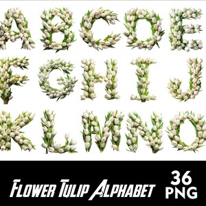 Flower Tulip Alphabet White Tulip Wedding Font PNG Letters Tulip ...