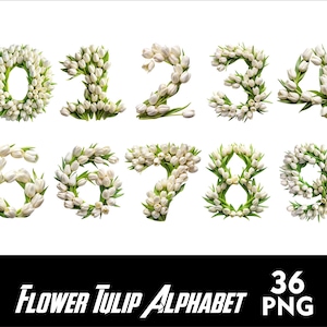 Flower Tulip Alphabet White Tulip Wedding Font PNG Letters Tulip ...