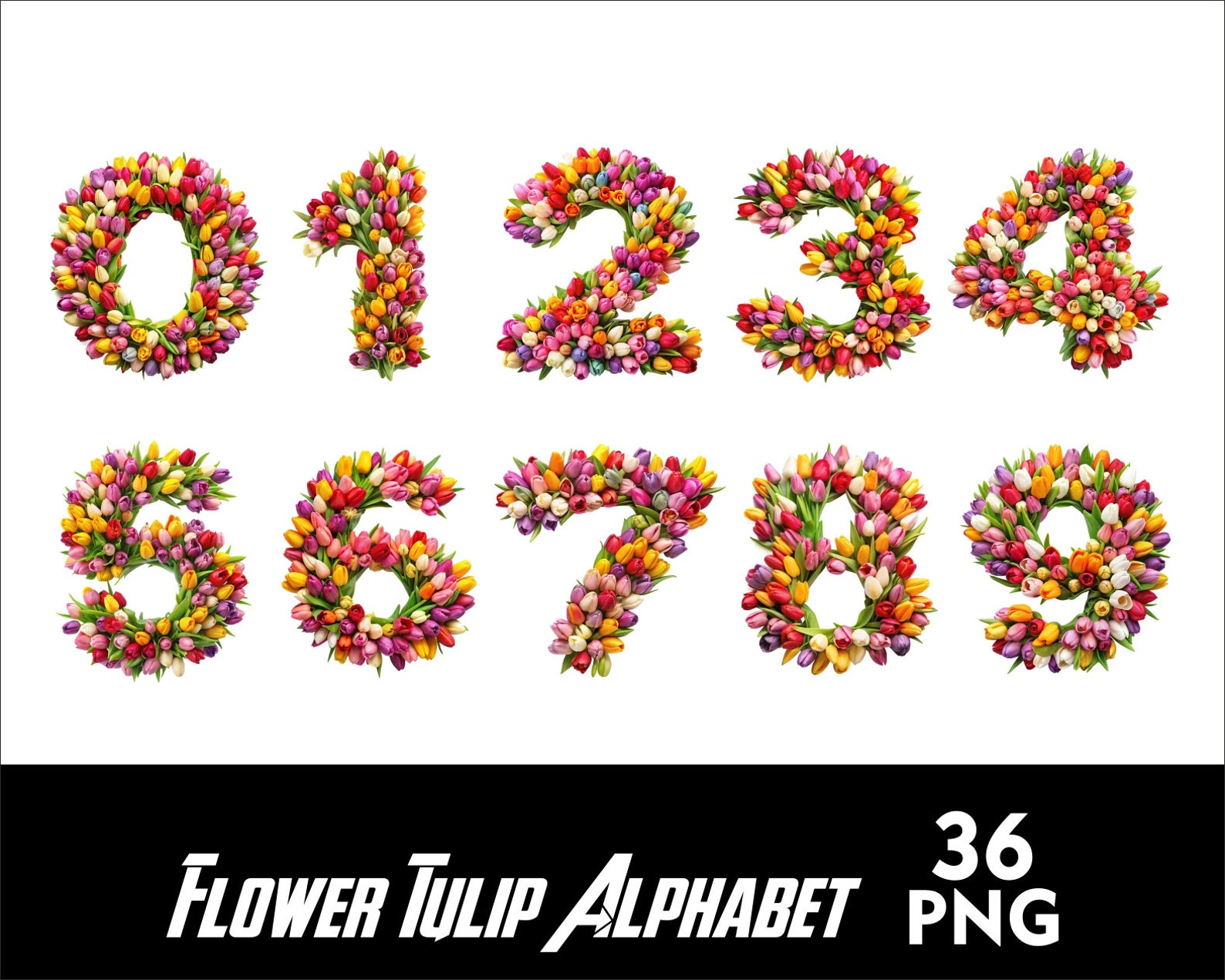 Flower Tulip Alphabet Tulip Font PNG Letters Colored Tulip Flowers ...