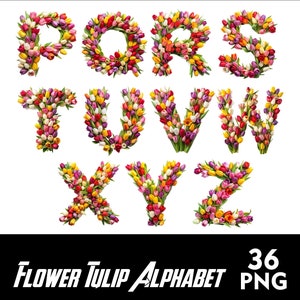 Flower Tulip Alphabet Tulip Font PNG Letters Colored Tulip Flowers ...