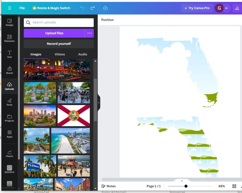 Canva Florida Photo Collage for Canva 1pcs and 10pcs Inside Collage for ...