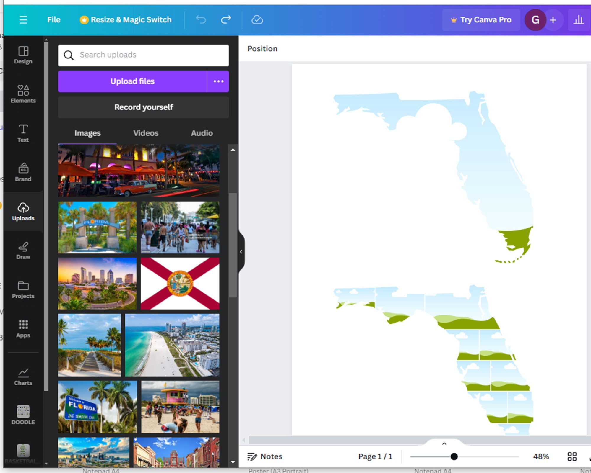 Canva Florida Photo Collage for Canva 1pcs and 10pcs Inside Collage for ...