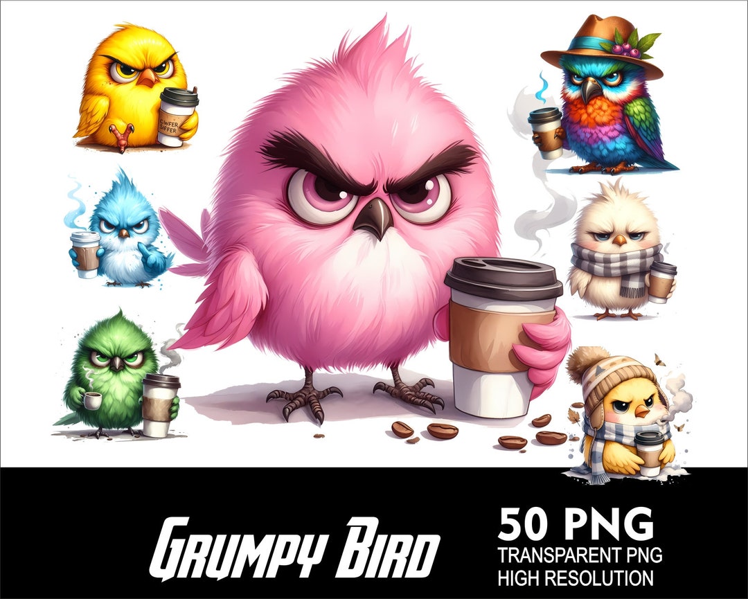 Bundle 50 PNG Grumpy Birds Cute Fluffy Birds Coffee Watercolor ...