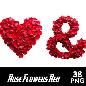 Red Rose Flower Alphabet Rose Leafs PNG Alphabet Love Wedding Font PNG ...