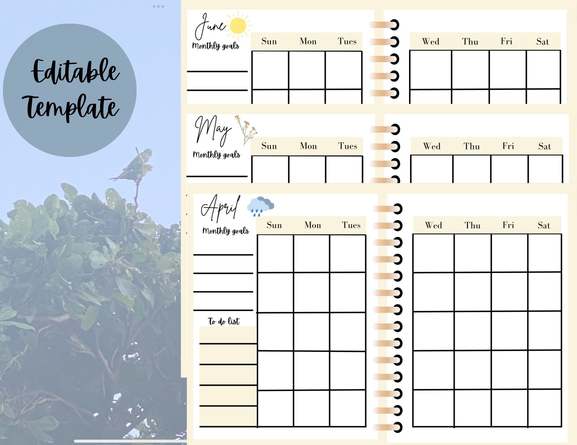 Editable Monthly Calendar, Digital Calendar Template, 12 Month Planner ...