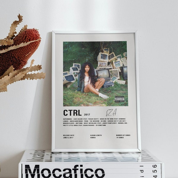 Sza Ctrl Album Cover Poster - Etsy