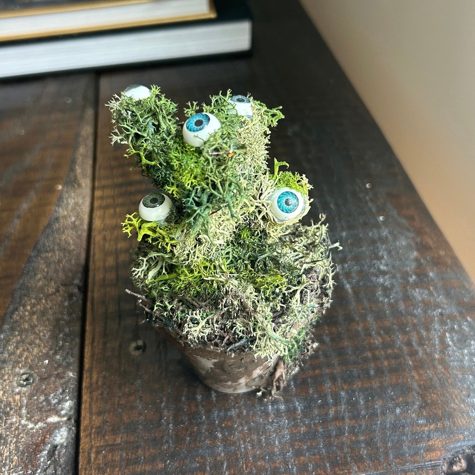 Labyrinth Eye Lichen, Labyrinth Eye Plant, Gothic Decor, Labyrinth ...