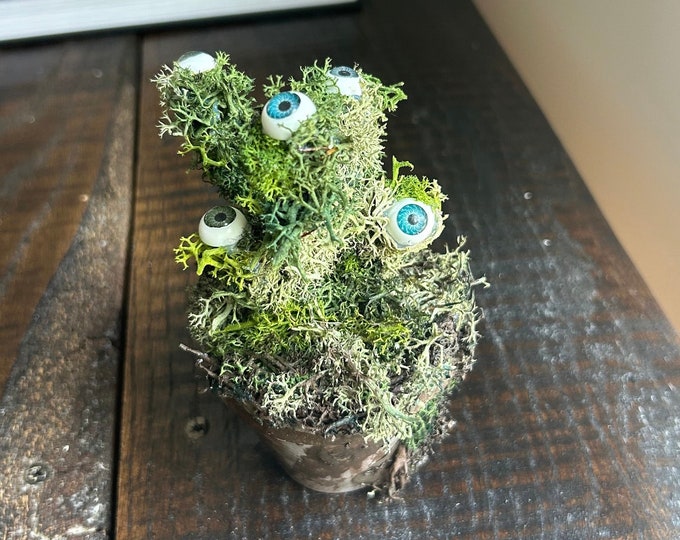 Labyrinth Eye Lichen, Labyrinth Eye Plant, Gothic Decor, Labyrinth ...