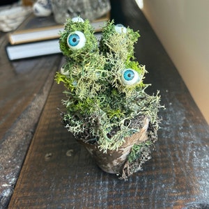 Labyrinth Eye Lichen, Labyrinth Eye Plant, Gothic Decor, Labyrinth ...