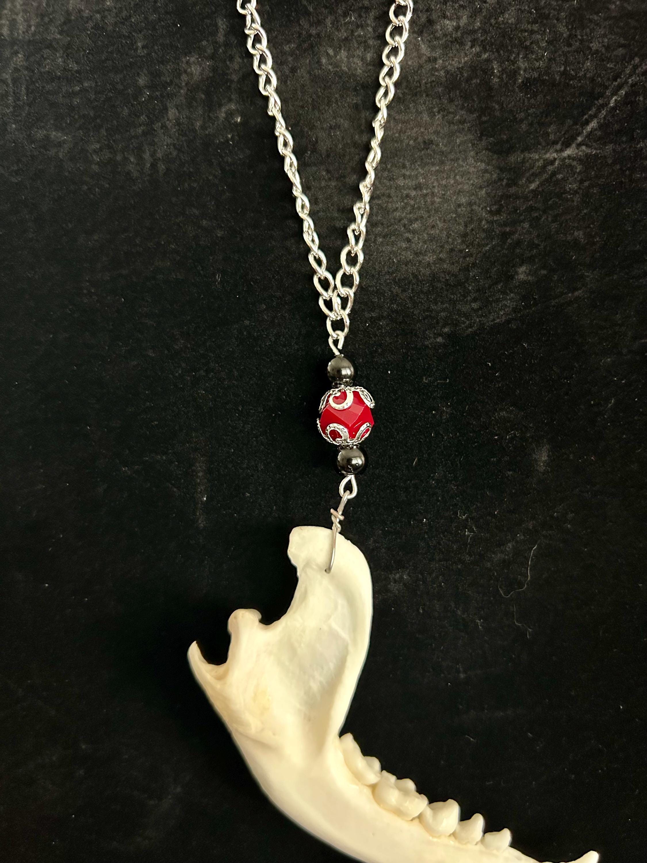 Jaw Bone Necklace, Bone Jewelry, Taxidermy, Bone Pendant, Bone Necklace ...