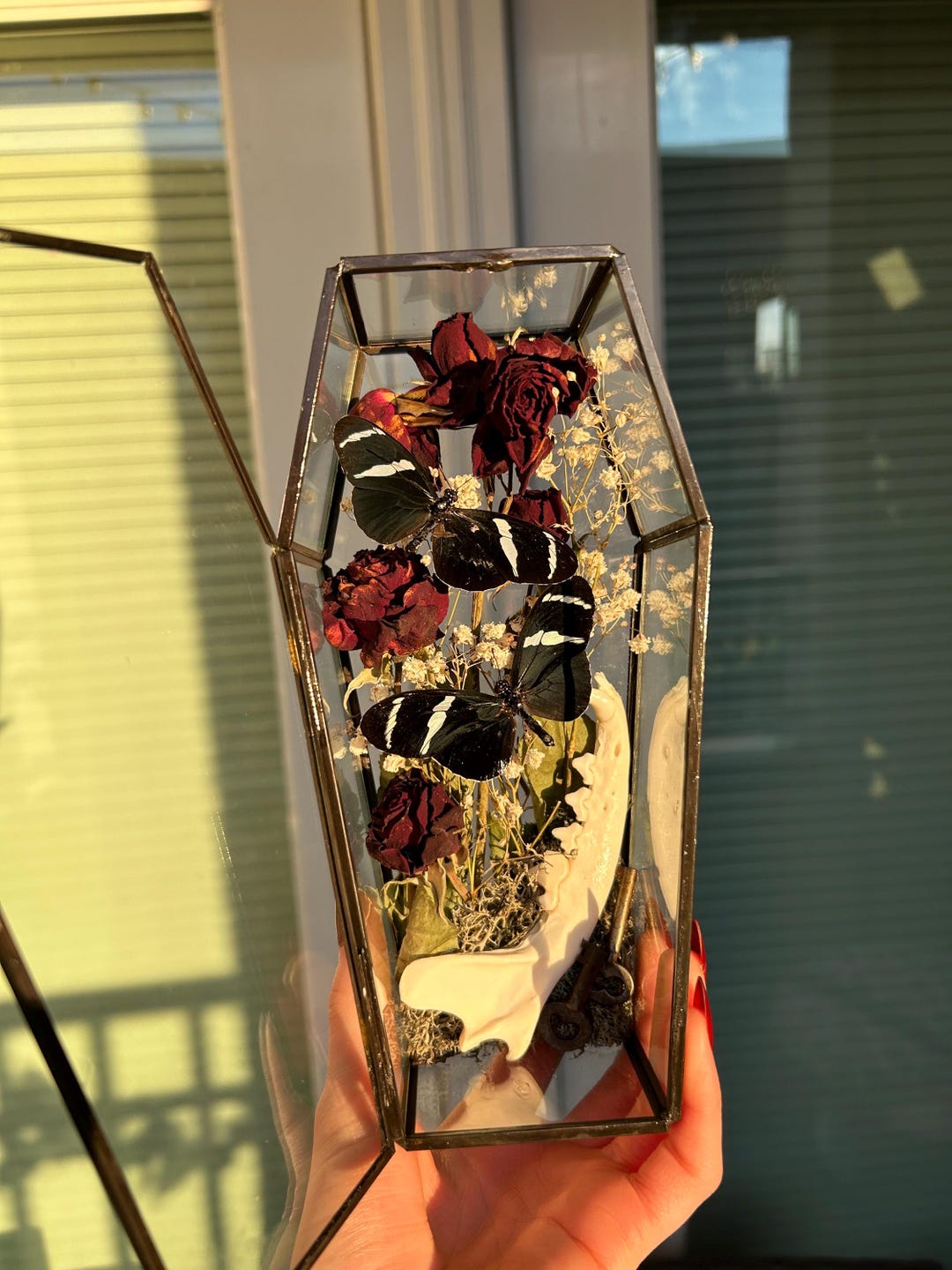 Coffin Shadow Box Pinned Butterfly, Pinned Insect, Butterfly Art ...