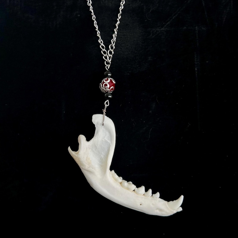 Animal Bone Jewelry - Etsy