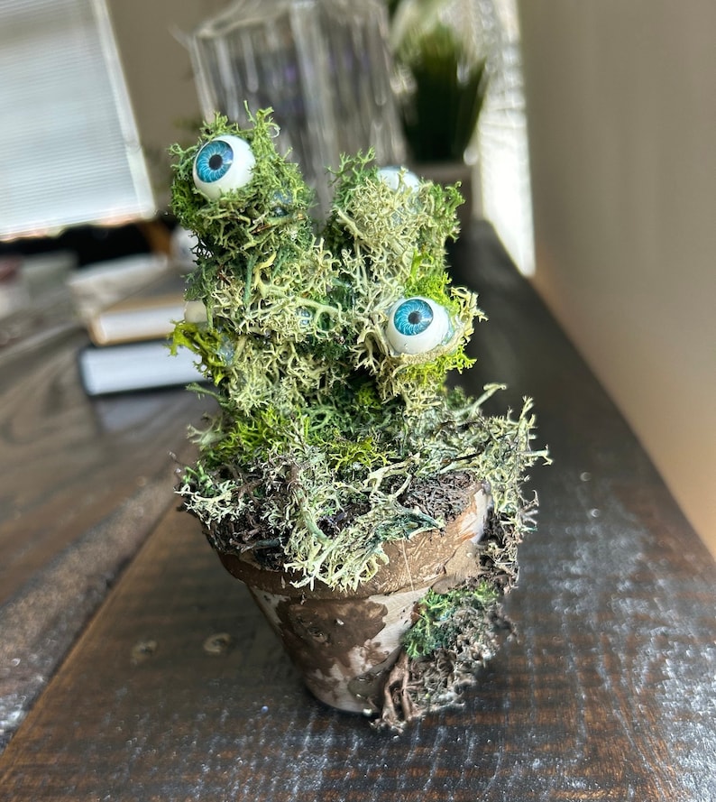 Labyrinth Eye Lichen, Labyrinth Eye Plant, Gothic Decor, Labyrinth ...