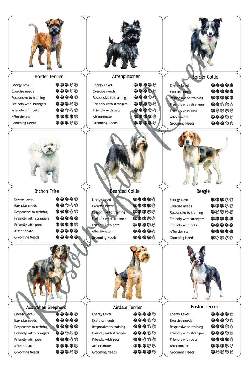 Dog Breeds - Printable Educational Dog Breed Cards - 72 Breeds - Learn ...