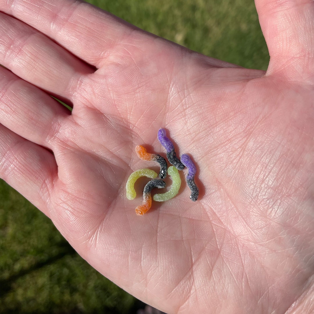 1/6 Scale 14 Halloween Faux Gummy Worms NOT EDIBLE Handmade Miniature ...