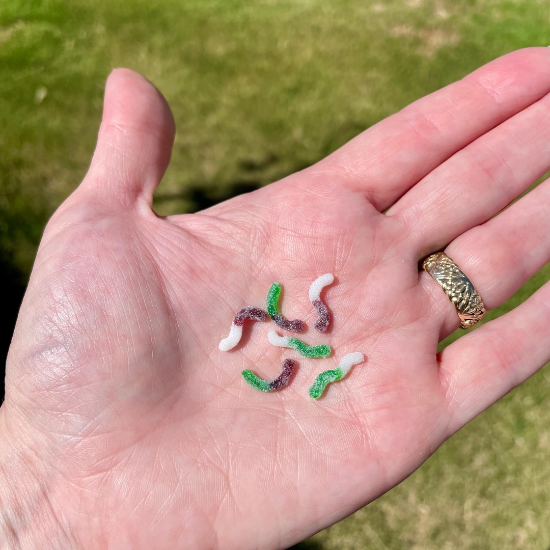 1/6 Scale 14 Christmas Faux Gummy Worms NOT EDIBLE Handmade Miniature ...