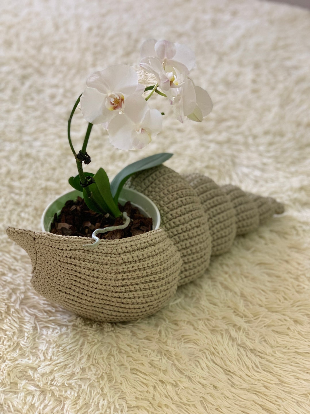 Crochet Shell Round, Seashell Decoration, Boho Homedecor, Bohemian Home ...