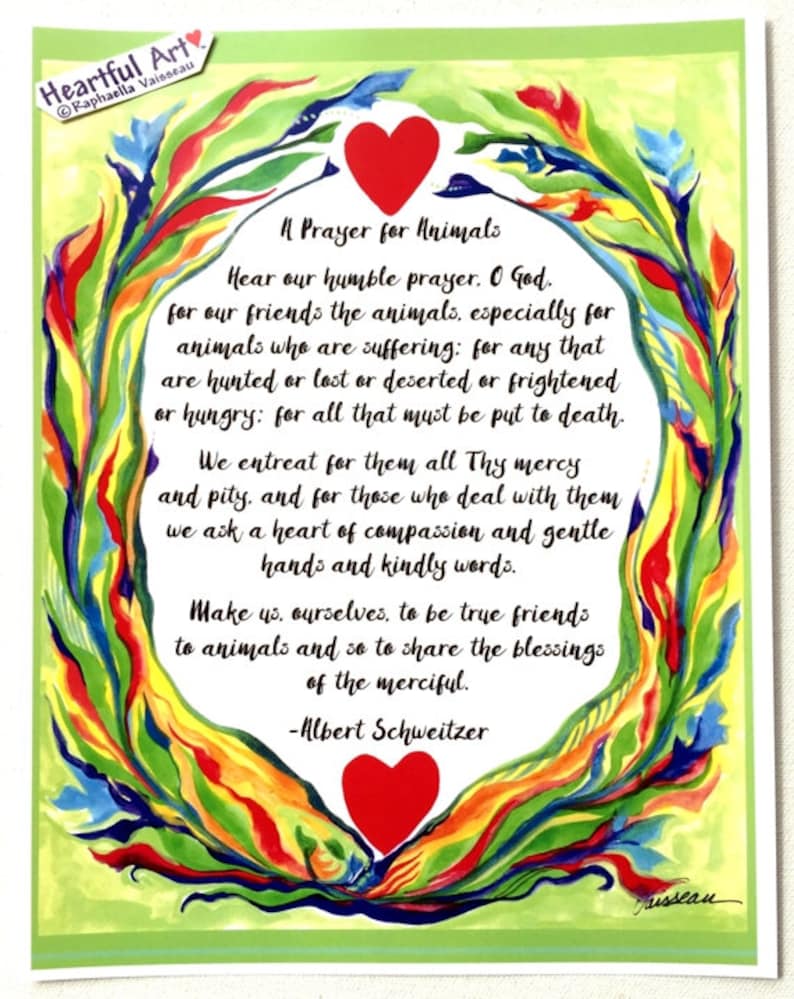 PRAYER for ANIMALS 8x11 Rescue Poster Albert SCHWEITZER Catholic ...