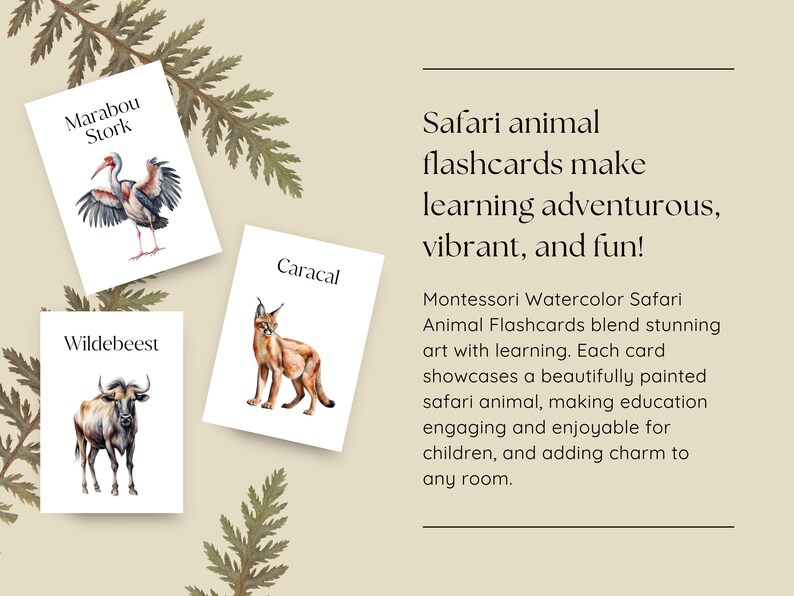 30 Safari Animals Flash Cards, Montessori Materials, Educational ...
