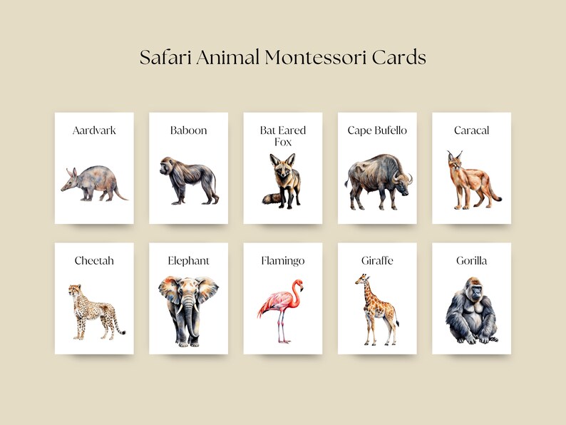 30 Safari Animals Flash Cards, Montessori Materials, Educational ...