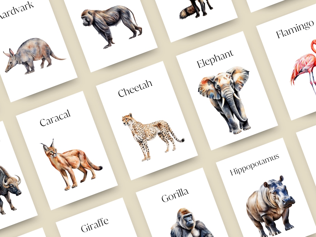 30 Safari Animals Flash Cards, Montessori Materials, Educational ...