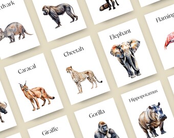 8 Safari Animals Cards, Montessori Flash Cards, Pre-school Cards ...