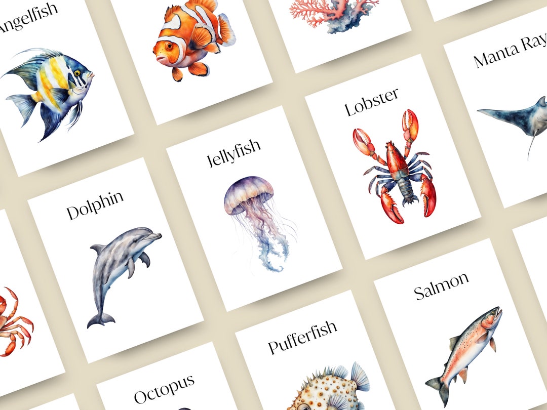 23 Ocean Animals Cards, Montessori Flash Cards, Pre-school Cards ...